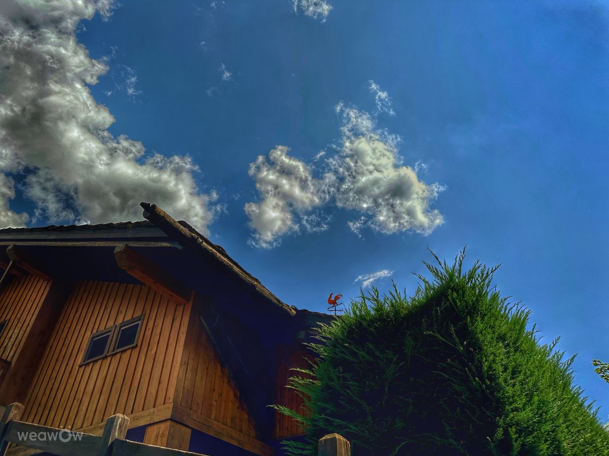 Courmayeur Mont Blanc Funivie S.p.A. - Cable Car Courmayeur Italia ...