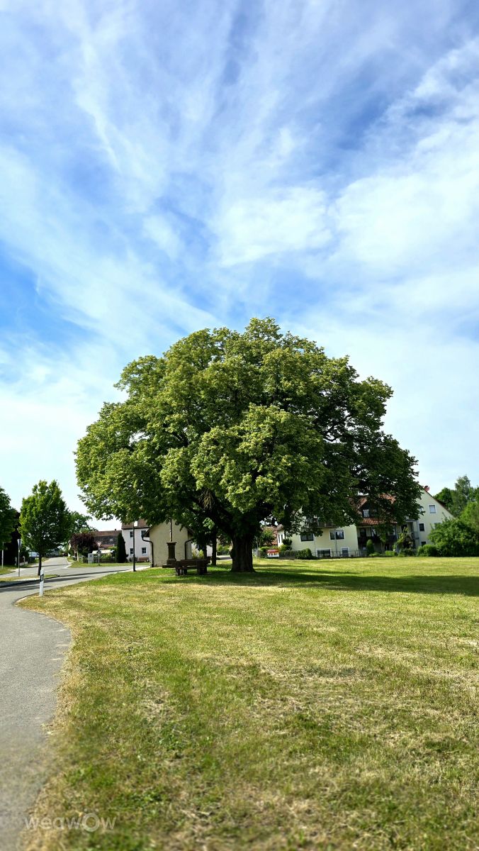 Fotógrafo Hela, Fotos sobre el clima en Weidendorf - Weawow