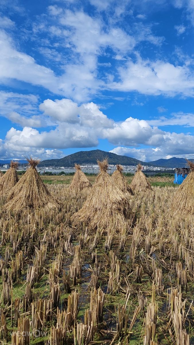 Yunnan China, 14 days Weather forecast, Radar & Photos - Weawow