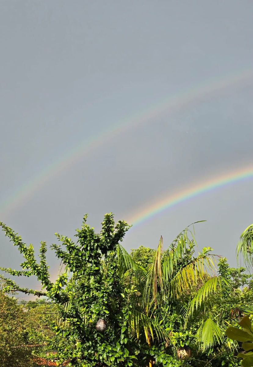 Photographe rsgouveia, Photos météo à Cidade Jardim - Weawow