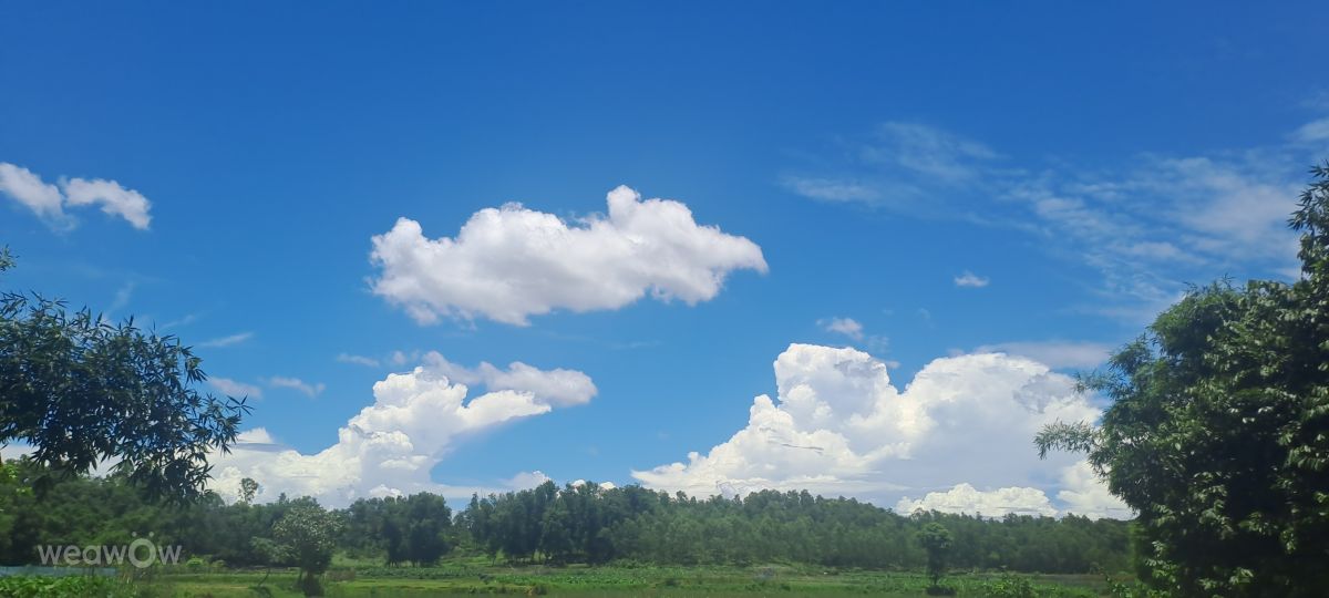Assam India, 14 days Weather forecast, Radar & Photos - Weawow