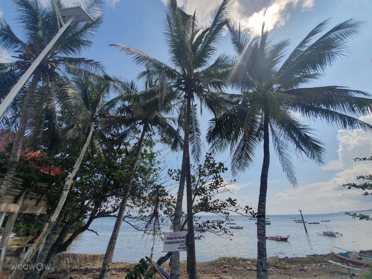 Bohol Philippines, 14 days Weather forecast, Radar & Photos - Weawow