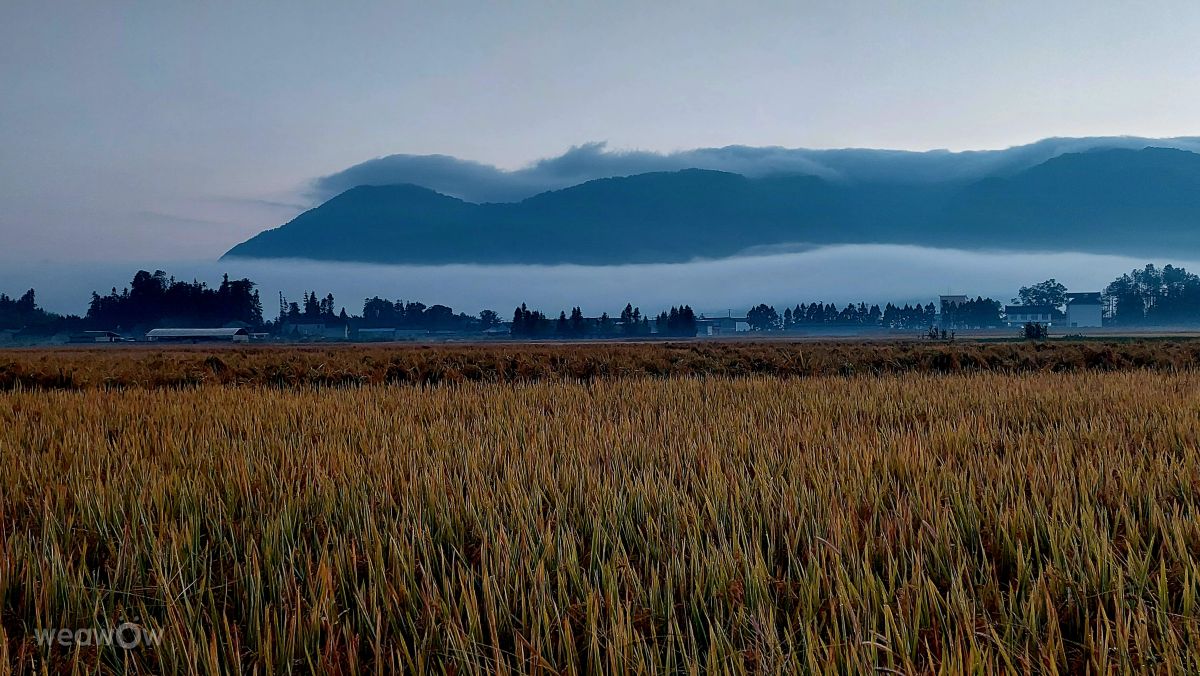 Yunnan China, 14 days Weather forecast, Radar & Photos - Weawow