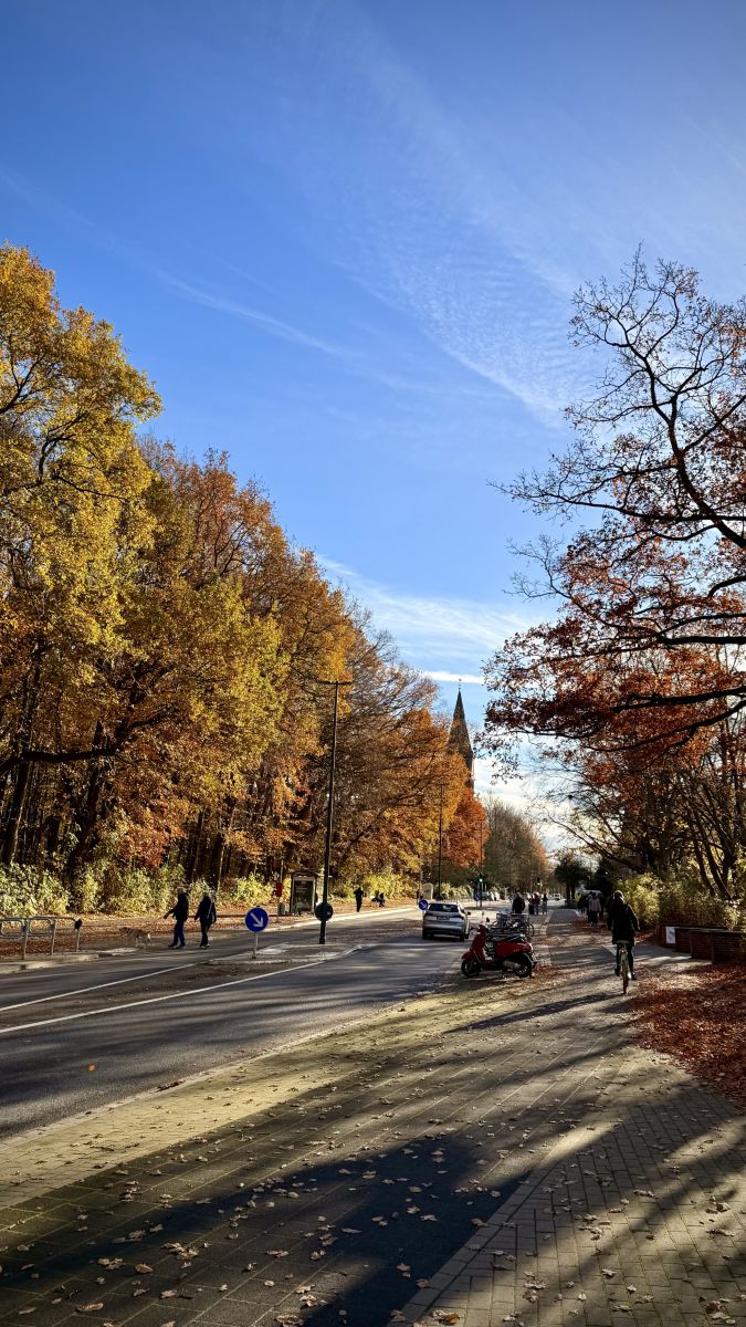 Fotógrafo Waalt62, Fotos sobre el clima en Kiel - Weawow