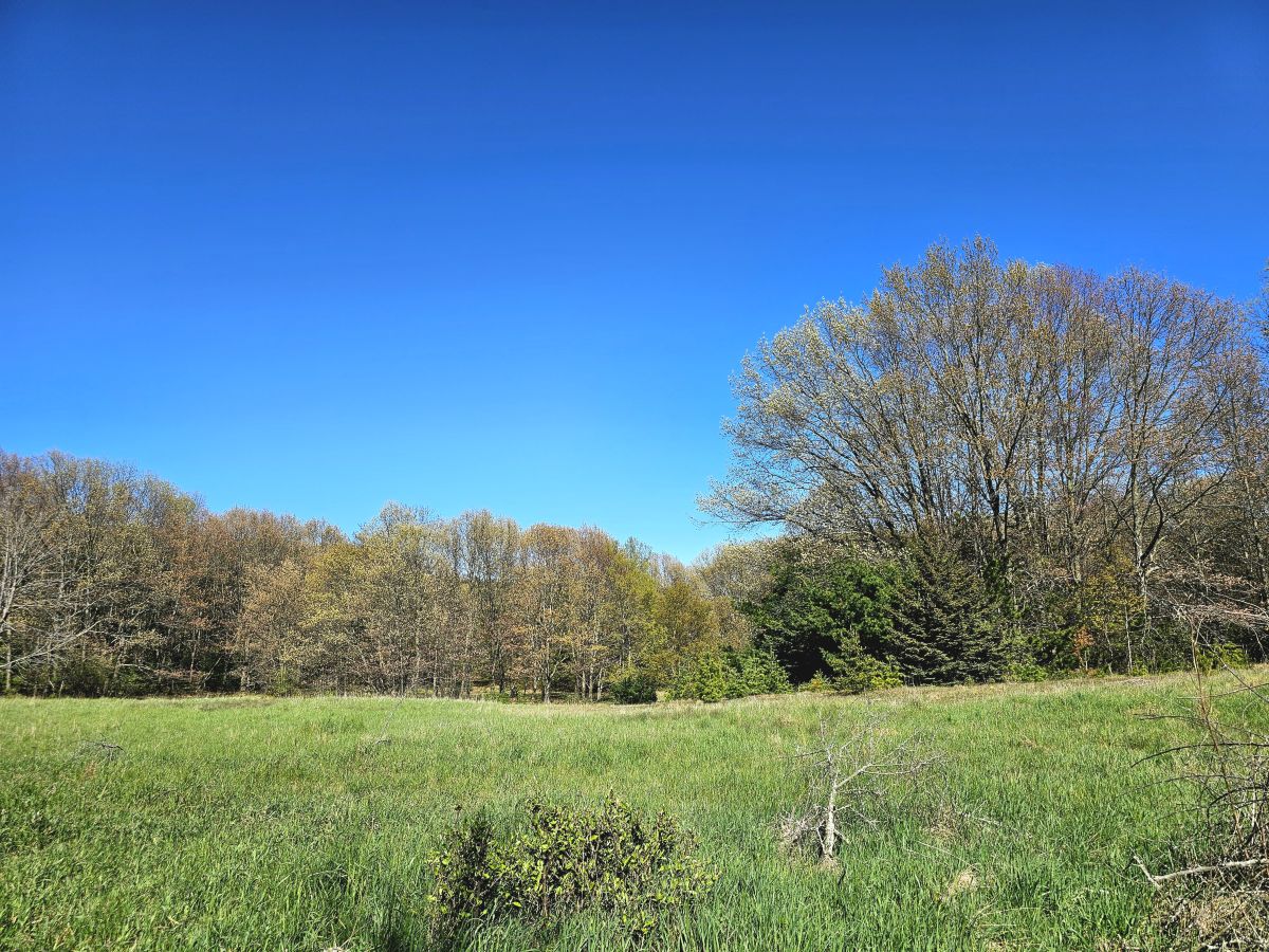 World, Weather forecast & Photos - Weawow