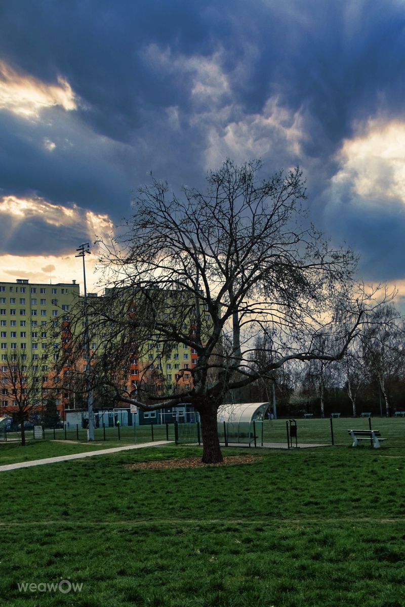 Photographer VersusPoint, Weather Photos in Wroclaw - Weawow
