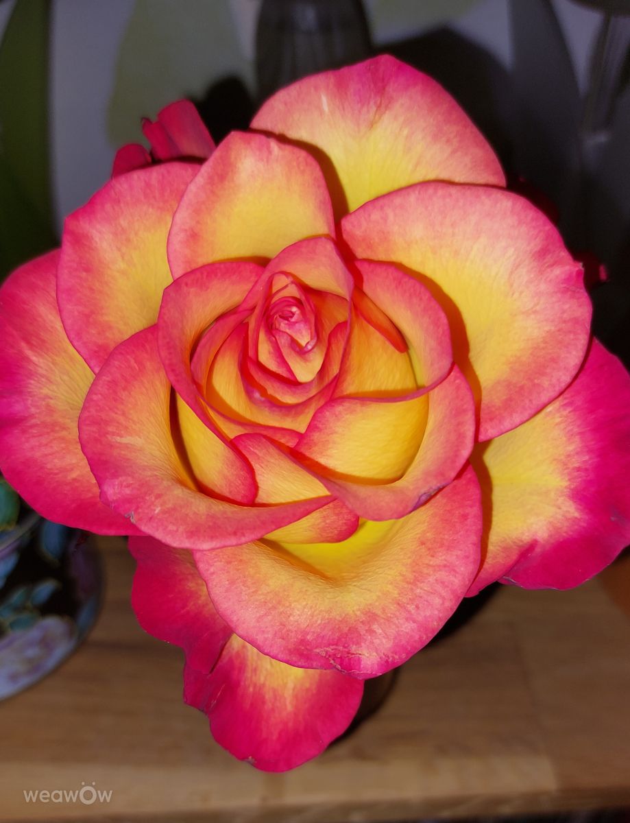 Photographer MaLu, Weather Photos in Crimmitschau - Weawow