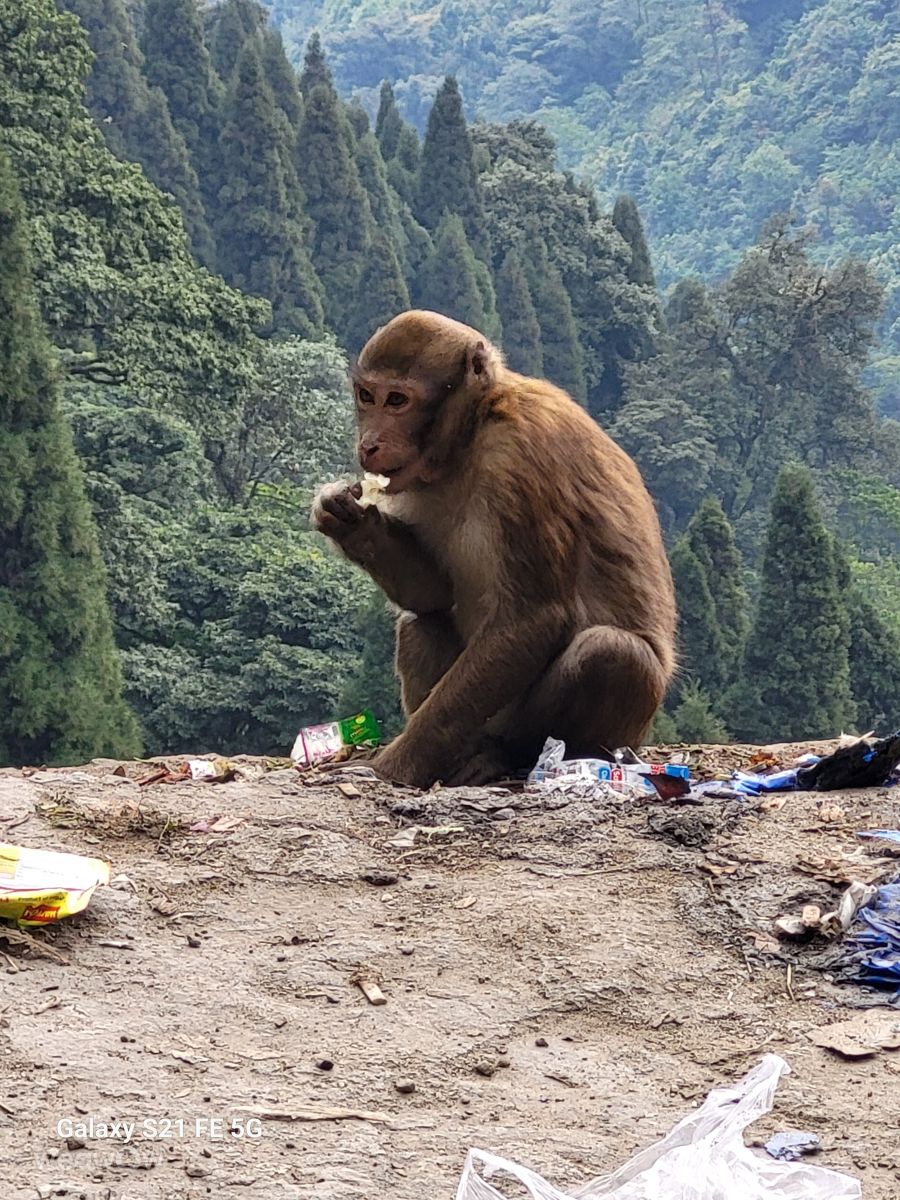 Photographer Debasis De, Weather Photos in Mane Bhanjang - Weawow