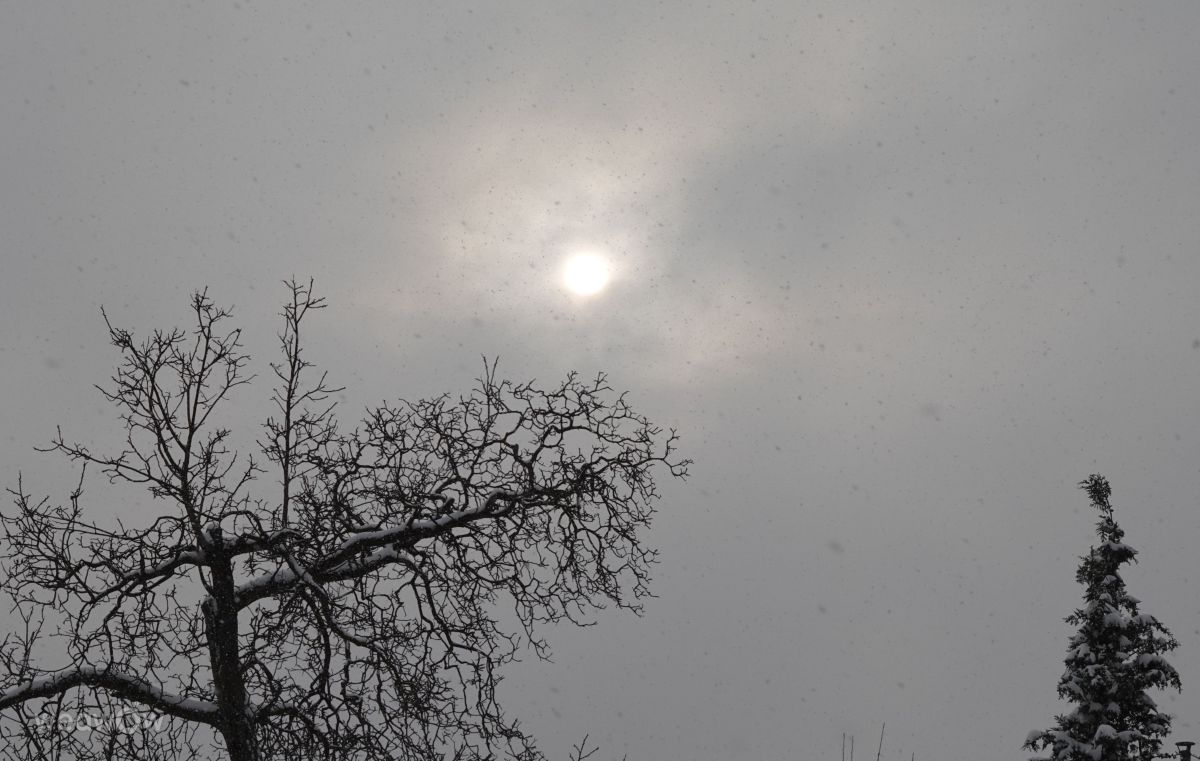 Praha 4 Czechia, Previsioni meteo a 14 giorni, Radar & Foto - Weawow