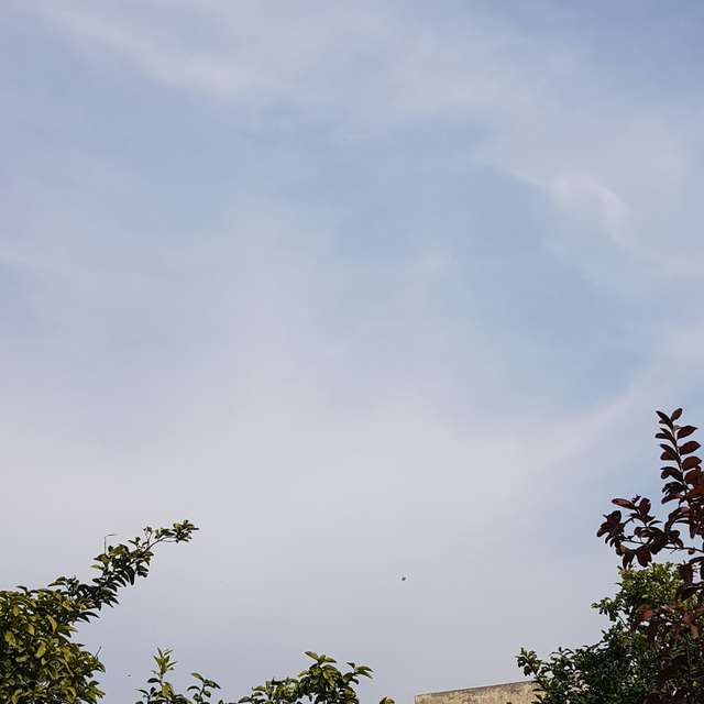 Nowshera Pakistan, 14 days Weather forecast, Radar & Photos - Weawow