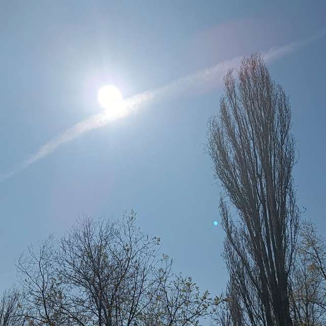 București România, Prognoza meteo pentru 14 zile, Radar & Fotografii ...