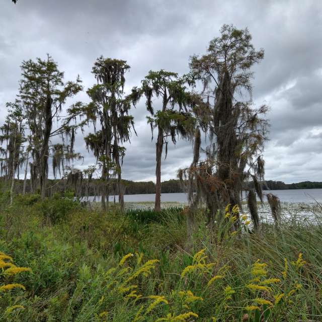 Lake Louisa State Park United States, 14 days Weather forecast, Radar ...