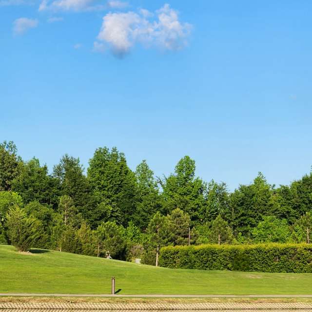 Memphis United States, 14 days Weather forecast, Radar & Photos - Weawow