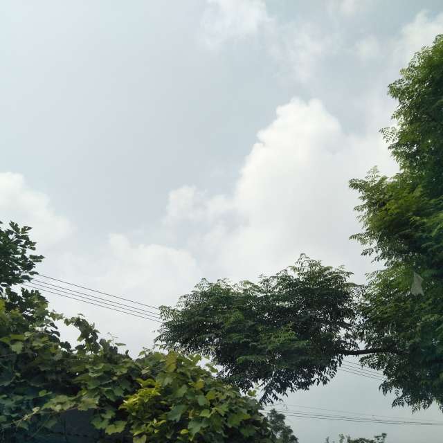 Wah Cantt Pakistan, 14 days Weather forecast, Radar & Photos - Weawow