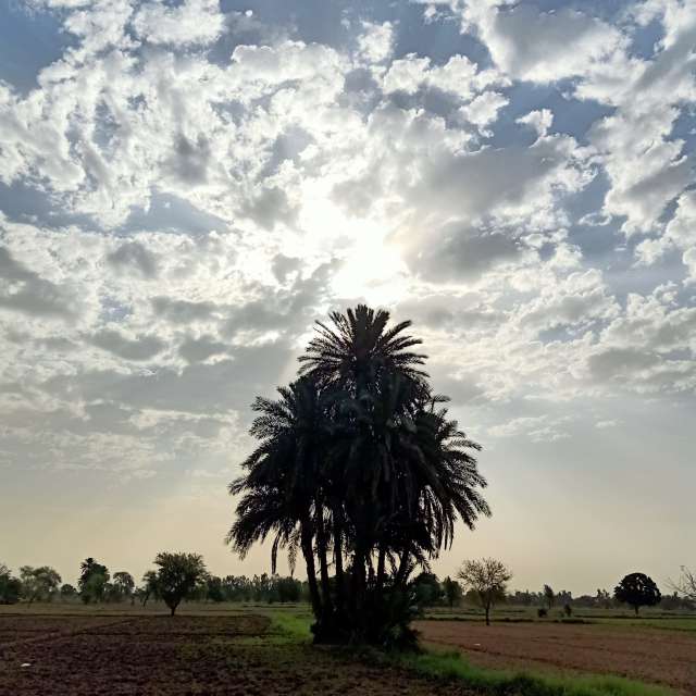 Chota Sahiwal Pakistan, 14 days Weather forecast, Radar & Photos - Weawow