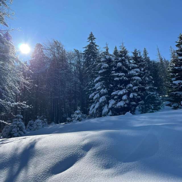 Munții Bucegi România, Prognoza meteo pentru 14 zile, Radar ...