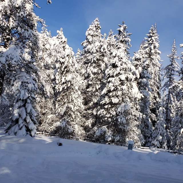 Priest River United States, 14 days Weather forecast, Radar & Photos ...