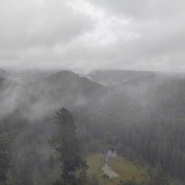 Black Forest Germany, 14 days Weather forecast, Radar & Photos - Weawow