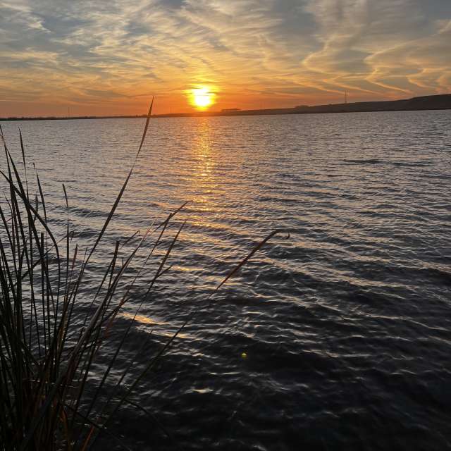 Brăila România, Prognoza meteo pentru 14 zile, Radar & Fotografii - Weawow