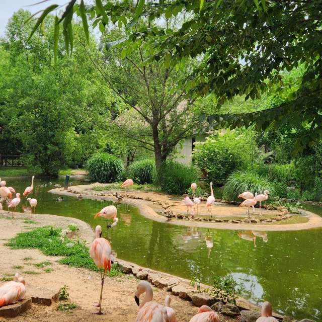 Memphis United States, 14 days Weather forecast, Radar & Photos - Weawow