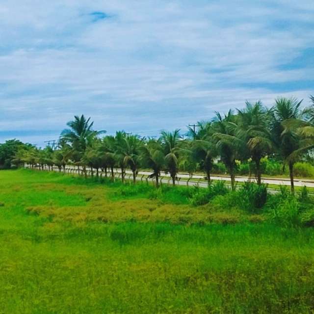 Unamar Brasil, 14 dias de previsão do tempo, Radar & Fotos - Weawow