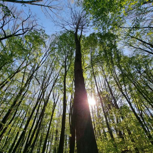 พื้นที่การค้า: ขายภาพถ่ายของคุณ เลือกซื้อภาพถ่ายที่สวยงาม - Weawow