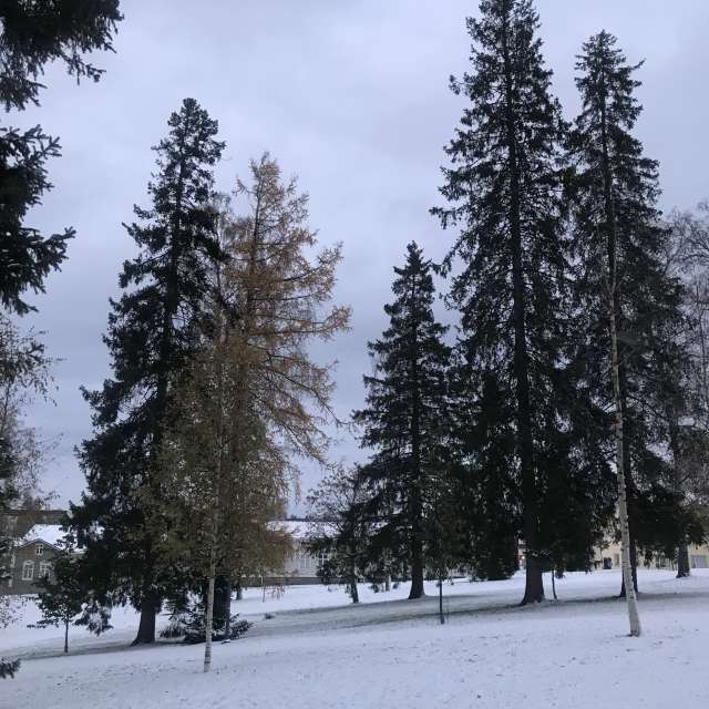 Kemi Finlandia, Previsioni meteo a 14 giorni, Radar & Foto - Weawow