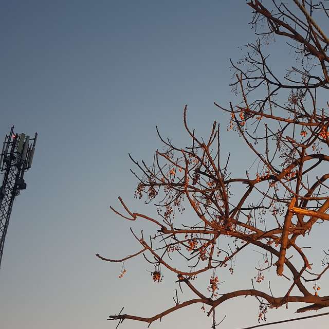 Nowshera Pakistan, 14 days Weather forecast, Radar & Photos - Weawow