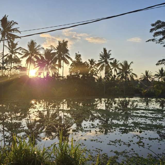 Bali Indonesia, Previsioni meteo a 14 giorni, Radar & Foto - Weawow