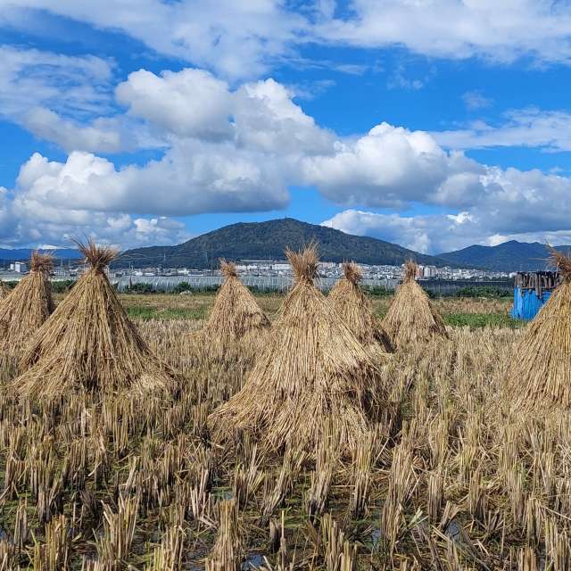 Yunnan China, 14 days Weather forecast, Radar & Photos - Weawow