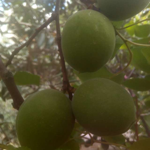 اربد الأردن، توقعات الطقس ل 14 يوم، رادار & الصور - Weawow