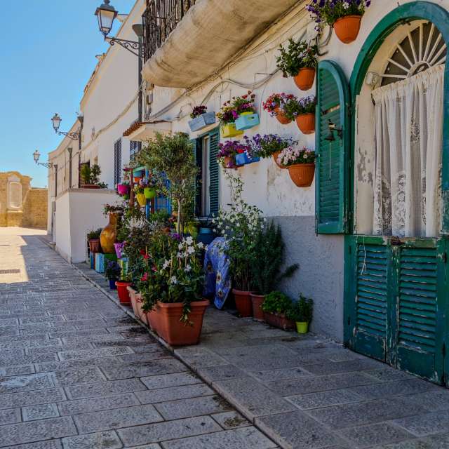 Bari Italia, Prognoza meteo pentru 14 zile, Radar & Fotografii - Weawow