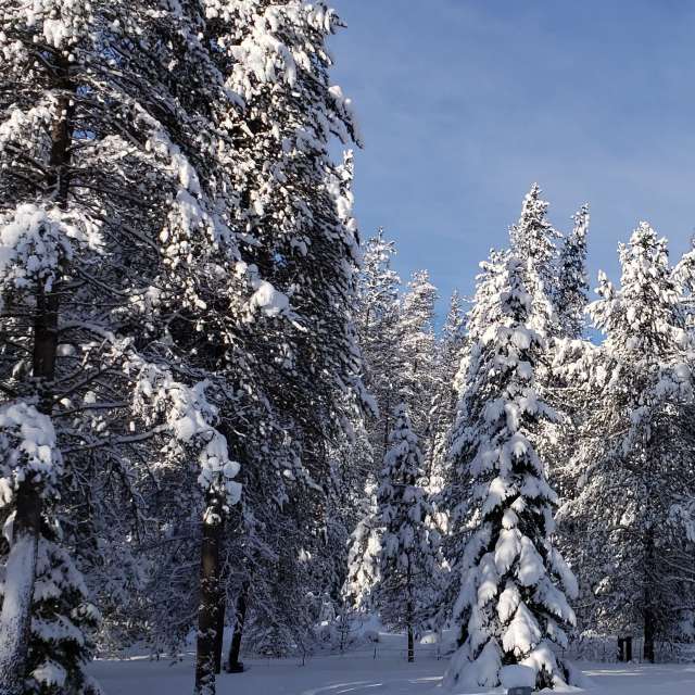 Priest River United States, 14 days Weather forecast, Radar & Photos ...