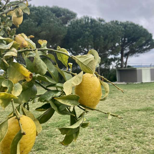 Óbidos Portugal، توقعات الطقس ل 14 يوم، رادار & الصور - Weawow