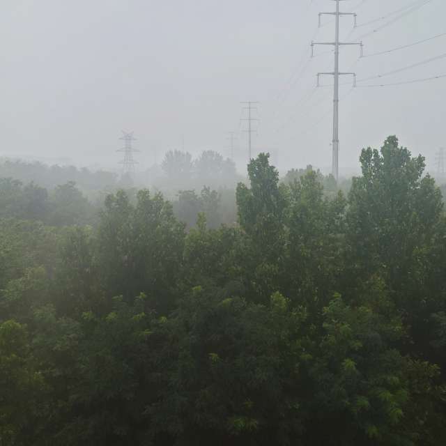 Shandong China, 14 days Weather forecast, Radar & Photos - Weawow