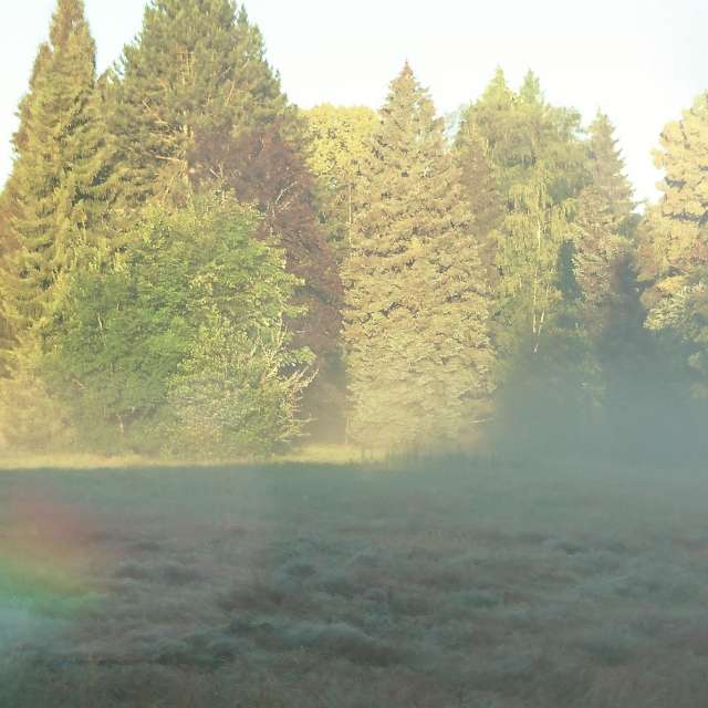 Black Forest Germany, 14 days Weather forecast, Radar & Photos - Weawow