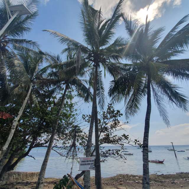 Bohol Philippines, 14 days Weather forecast, Radar & Photos - Weawow