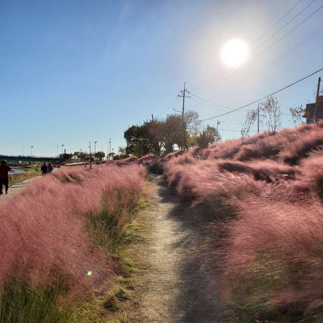 Hwasun South Korea, 14 days Weather forecast, Radar & Photos - Weawow