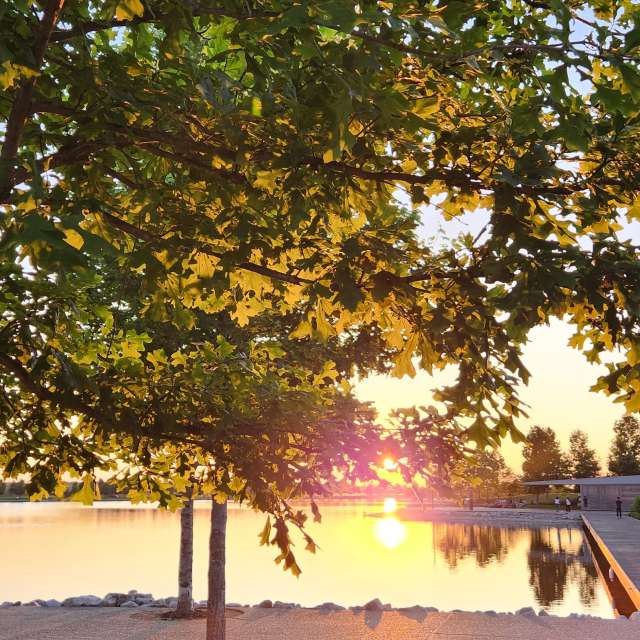 Memphis United States, 14 days Weather forecast, Radar & Photos - Weawow