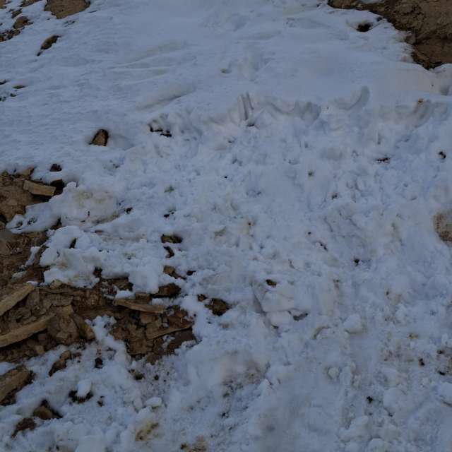 Shiraz Iran, 14 days Weather forecast, Radar & Photos - Weawow