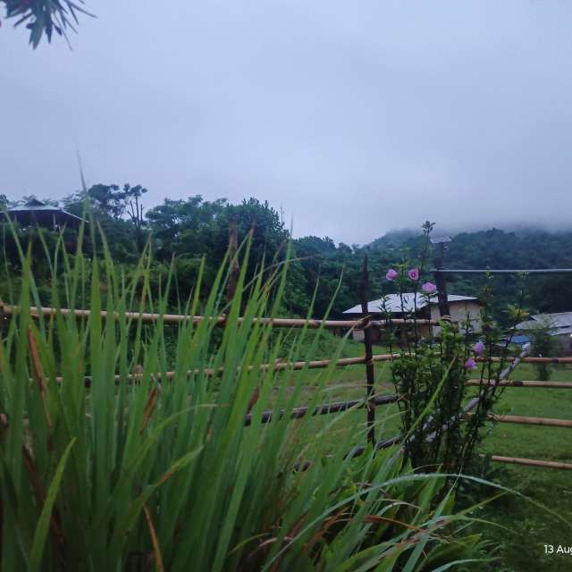 Assam India, 14 days Weather forecast, Radar & Photos - Weawow
