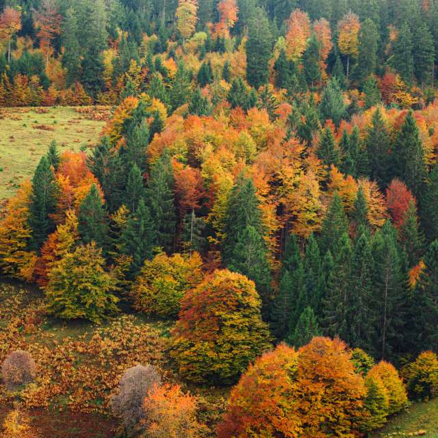 Black Forest Germany, 14 days Weather forecast, Radar & Photos - Weawow