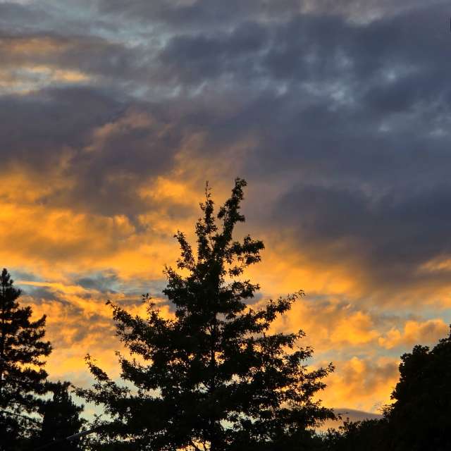 Velbert Germany, Previsió meteorològica de 14 dies, Radar & Fotografies ...