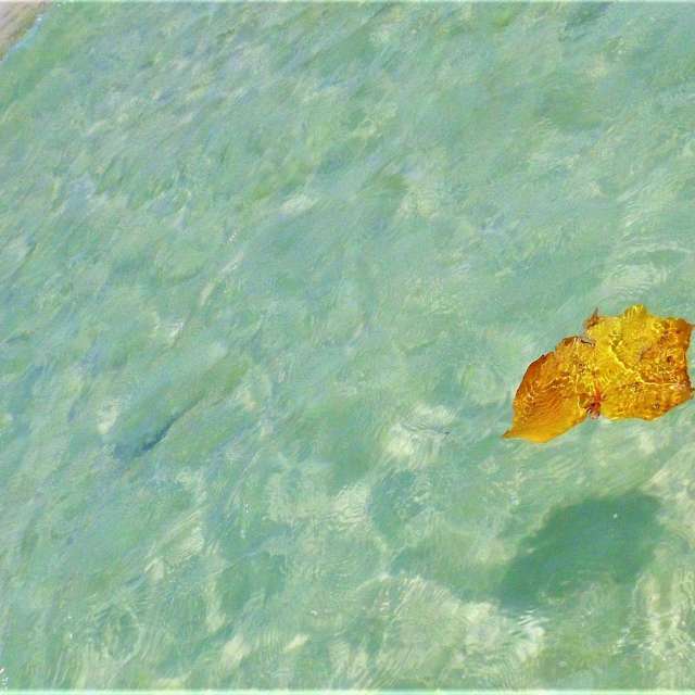 Playa Pesquero Cuba, 14 dní Předpověď počasí, Radar & Fotky - Weawow