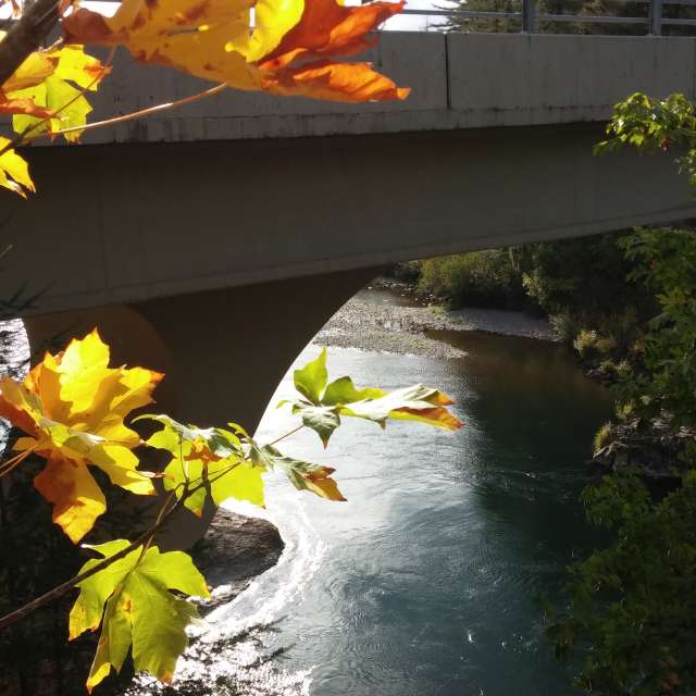 Santiam Pass United States, 14 days Weather forecast, Radar & Photos ...