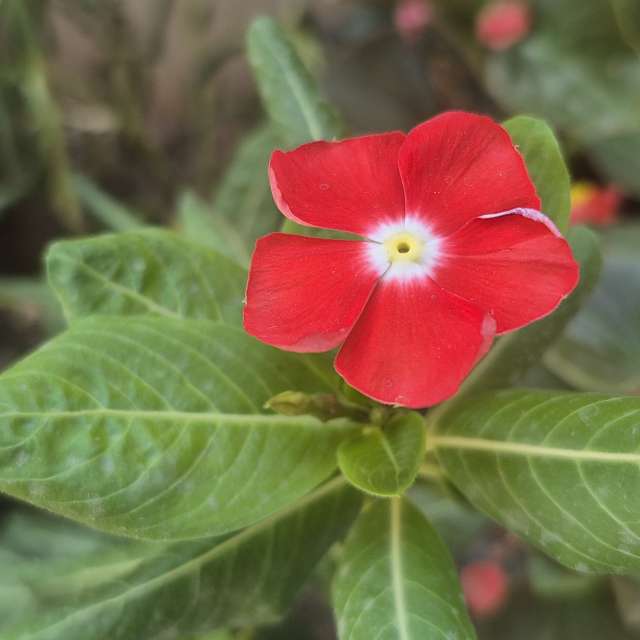 Tehran Iran, 14 days Weather forecast, Radar & Photos - Weawow