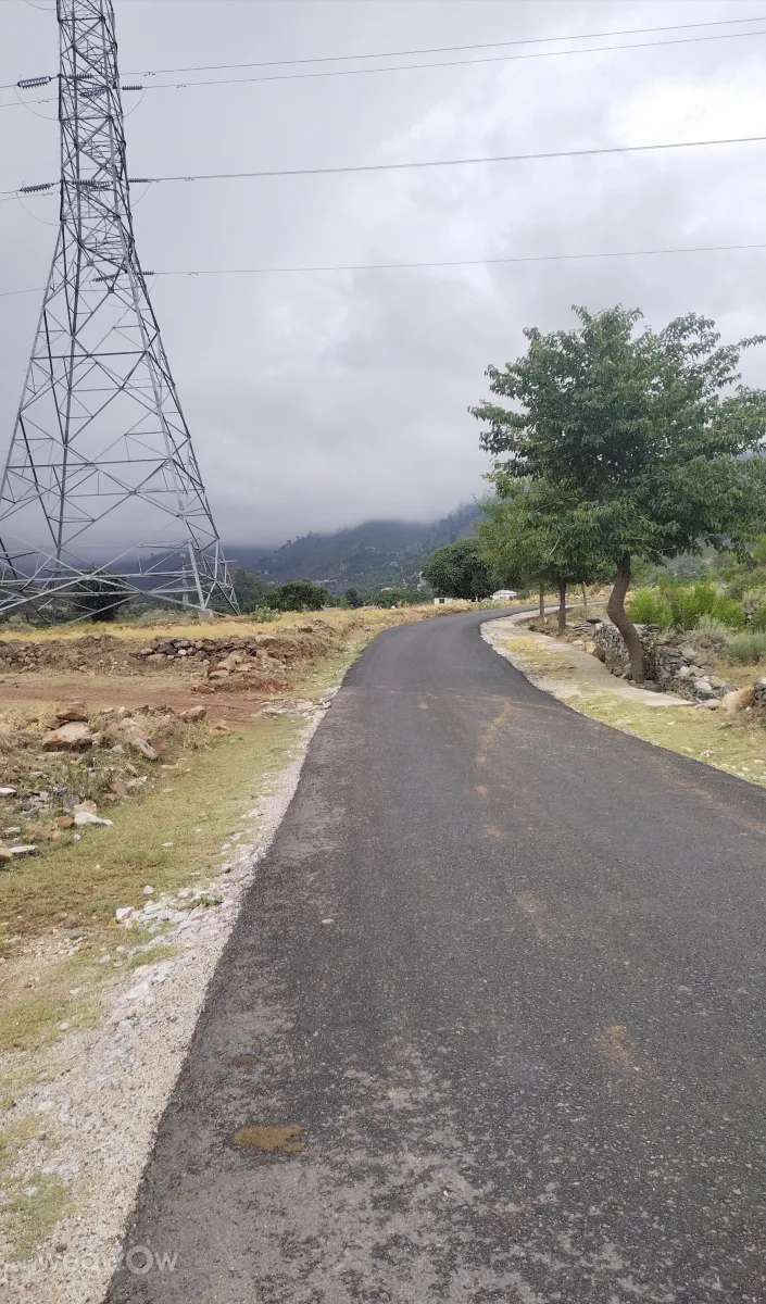 Timergara Pakistan, 14 days Weather forecast, Radar & Photos - Weawow