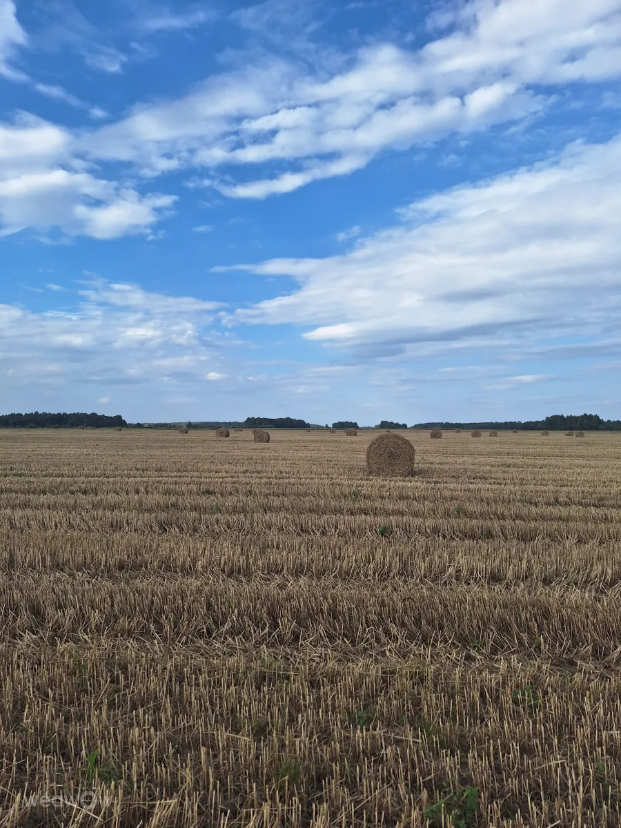 Europa , Prognoza meteo pentru 14 zile, Radar & Fotografii - Weawow