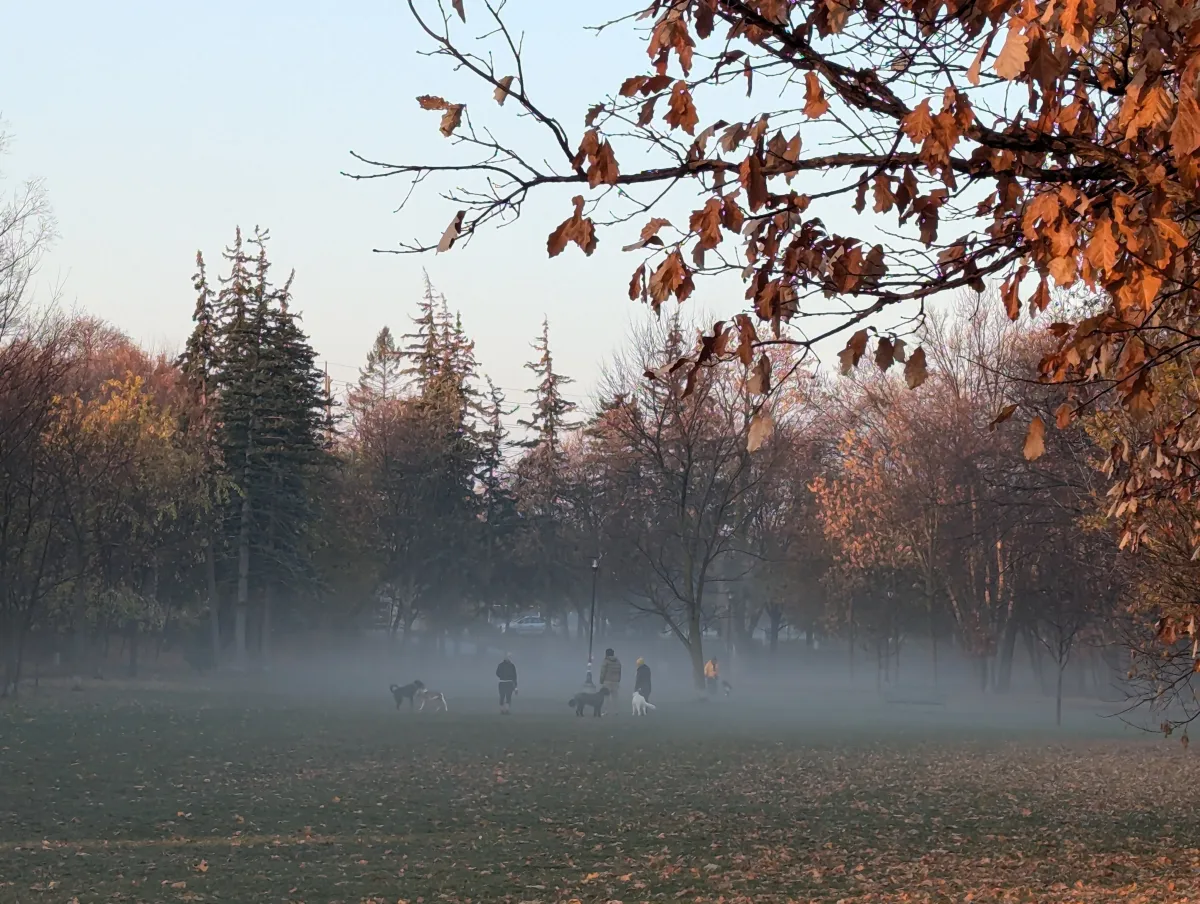 Ottawa Canada, 14 days Weather forecast, Radar & Photos - Weawow