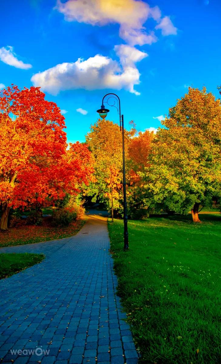 Europa , Prognoza meteo pentru 14 zile, Radar & Fotografii - Weawow